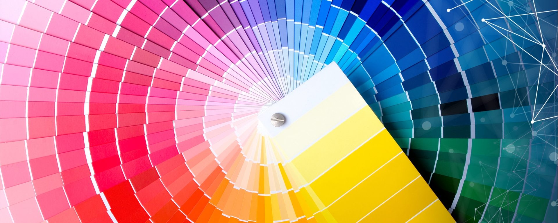 Color Psychology in Marketing | The Buzz | Mosaic